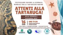 Attenti alla tartaruga!